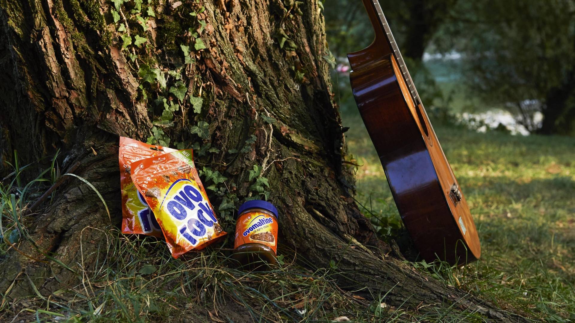 Ovo Rocks – rochers au chocolat | Ovomaltine.ch